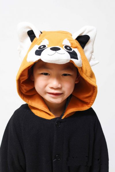 Bruine Wasbeer Onesie Kind Rode Panda Kinder Kostuum Pak kopen ...